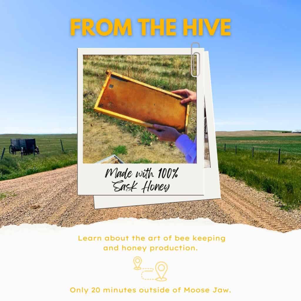 Family Friendly Activity | Pollinator Pathway | Moose Jaw